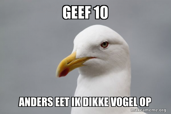 Geef 10 Anders eet ik dikke vogel op - Stuff That Didn't Happen Seagull ...