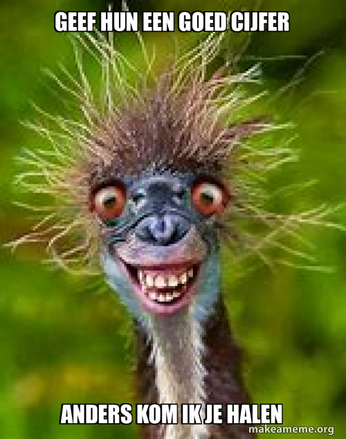 geef hun een goed cijfer anders kom ik je halen Meme Generator