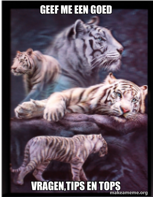 geef me een goed vragen,tips en tops Meme Generator