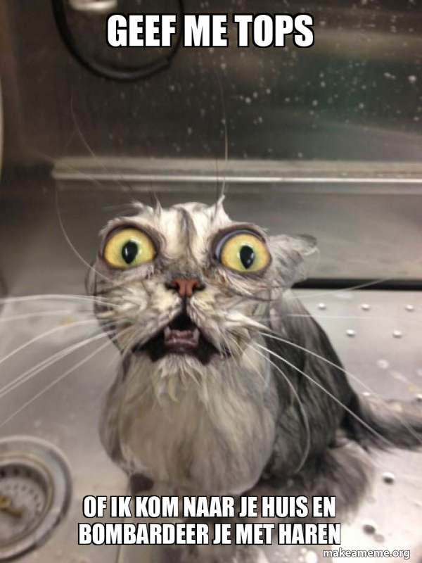 Geef me tops of ik kom naar je huis en bombardeer je met haren - Cat ...