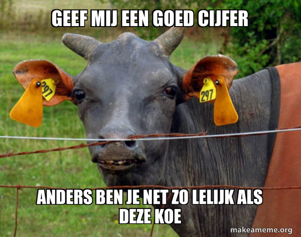 geef mij een goed cijfer anders ben je net zo lelijk als deze koe ...