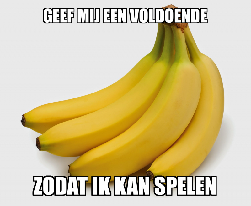 Geef mij een voldoende zodat ik kan spelen Meme Generator
