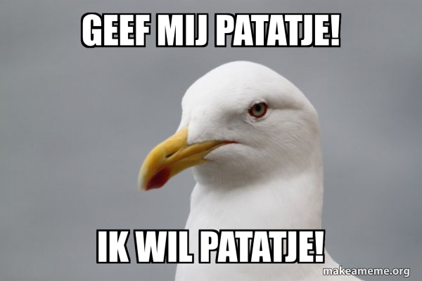 GEEF MIJ PATATJE! IK WIL PATATJE! - Stuff That Didn't Happen Seagull ...