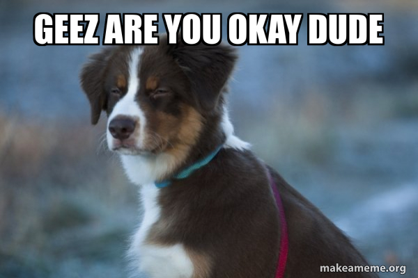 Geez are you okay dude - Unsure Dog Meme Generator