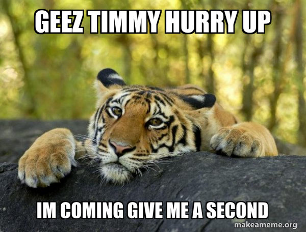Geez Timmy hurry up IM COMING GIVE ME A SECOND - Confession Tiger Meme ...