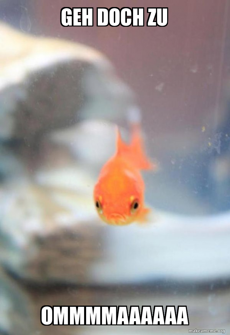 GEH DOCH ZU OMMMMAAAAAA - Grumpy Fish Meme Generator