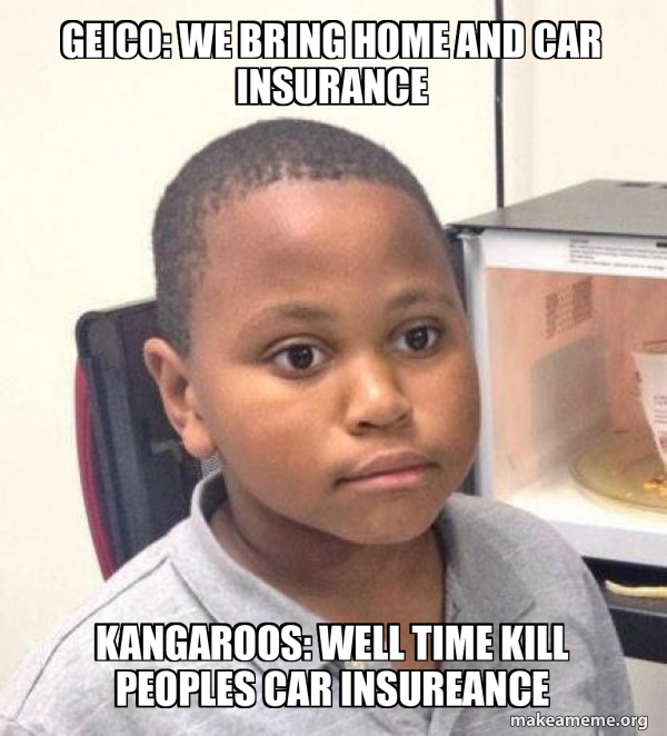geico: we bring home and car insurance kangaroos: well time kill ...