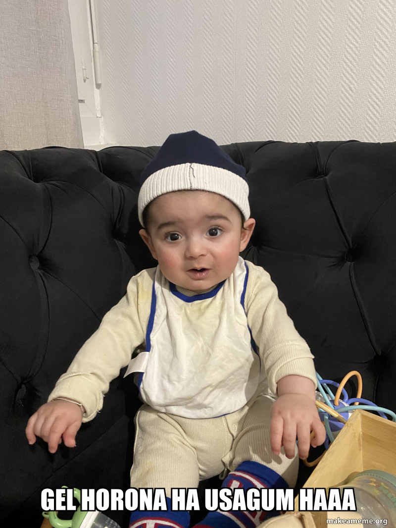 Gel horona ha usagum haaa Meme Generator