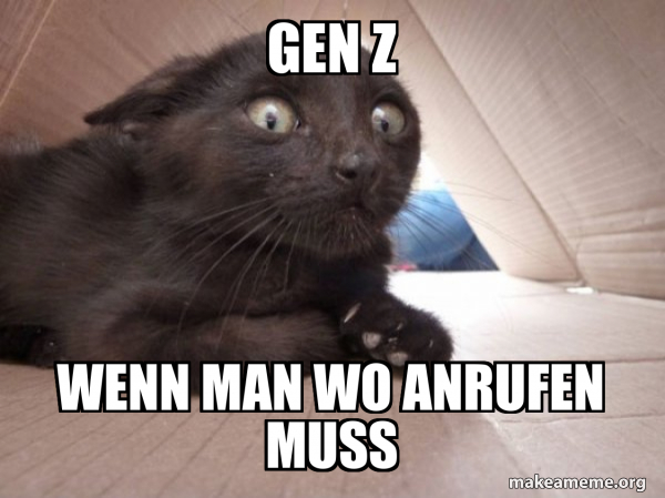 Gen Z Wenn man wo anrufen muss - Schitzo Cat Meme Generator