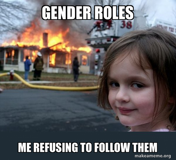 GENDER ROLES ME REFUSING TO FOLLOW THEM - Disaster Girl Meme Generator