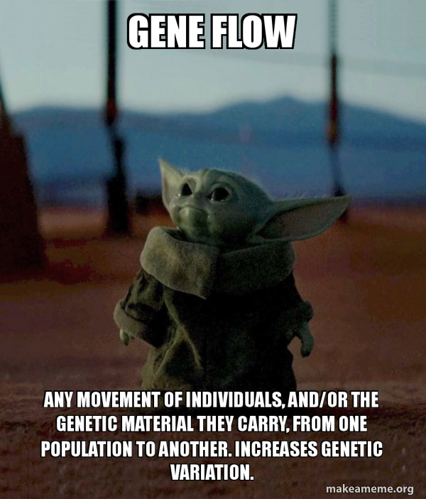 Funny Gene Memes