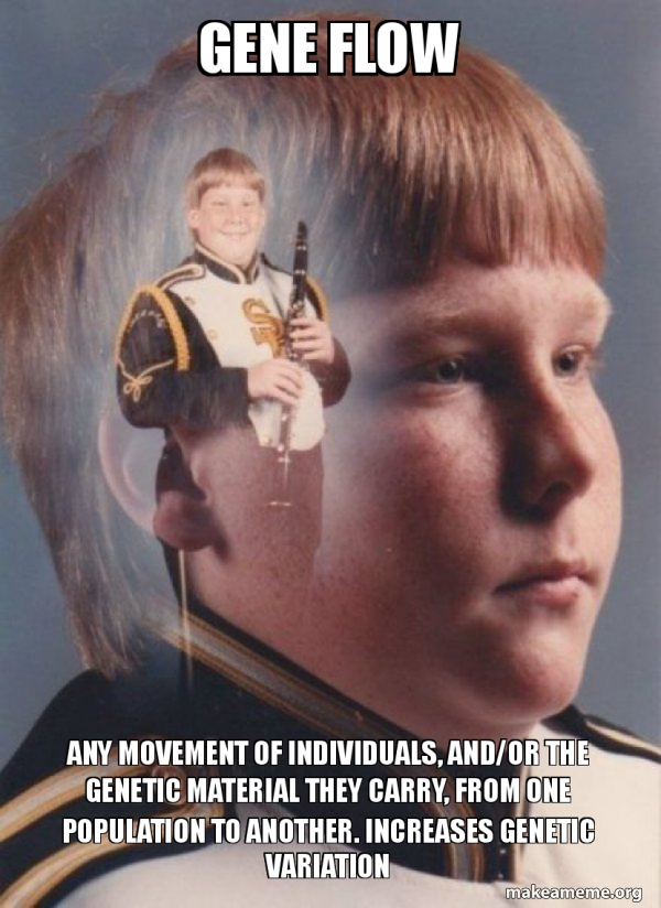 Flow Hair Memes