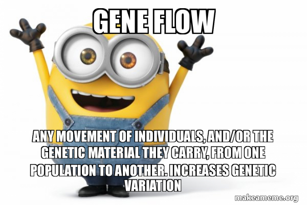 Gene flow any movement of individuals, and/or the genetic material they ...