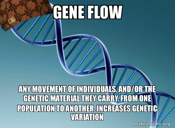 Gene Flow any movement of individuals, and/or the genetic material they ...