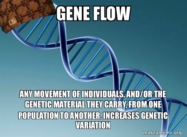 gene flow any movement of individuals, and/or the genetic material they ...