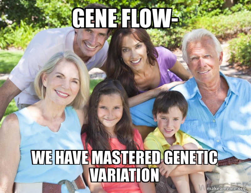 gene flow- we have mastered genetic variation Meme Generator