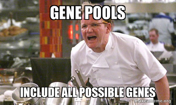 Gene pools Include ALL possible genes - Gordon Ramsay Hell's Kitchen ...