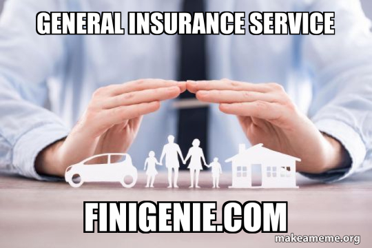 General Insurance Service finigenie.com Meme Generator