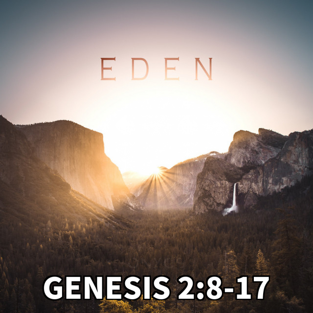 genesis 2:8-17 Meme Generator