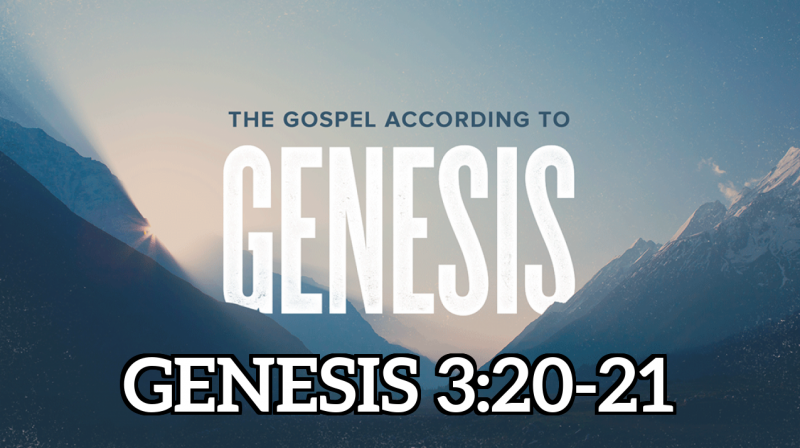 genesis 3:20-21 Meme Generator