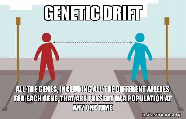 genetic drift all the genes, including all the different alleles for ...