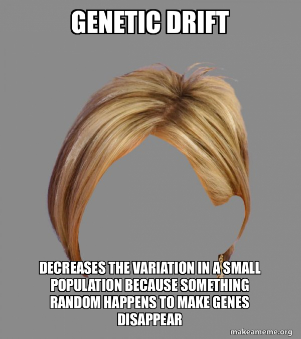 Genetic Drift Decreases the variation in a small population because ...