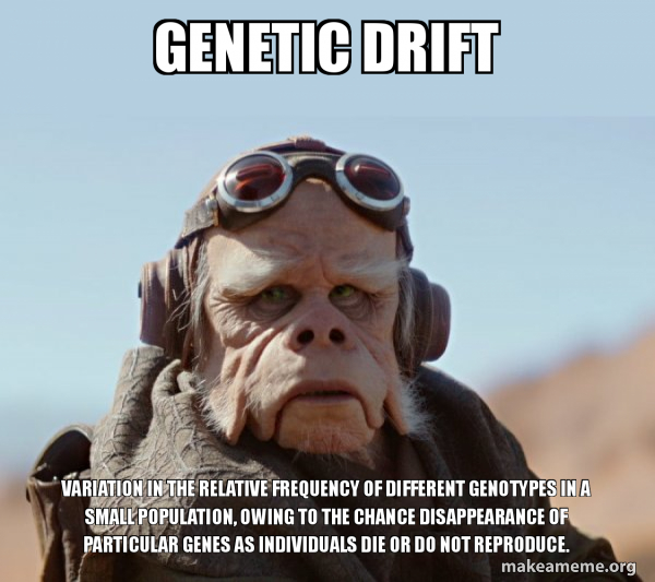 genetic drift variation in the relative frequency of different ...