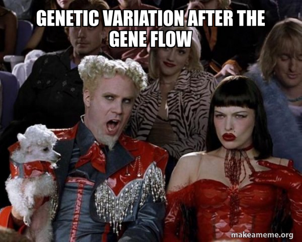 Genetic Variation after the gene flow - So Hot Right Now Meme Generator