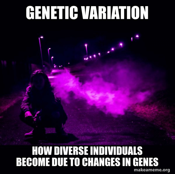 Genetic Variation How diverse individuals become due to changes in ...