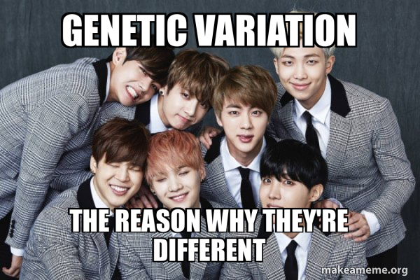Genetic Variation The Reason Why They're Different - K-Pop Band BTS ...