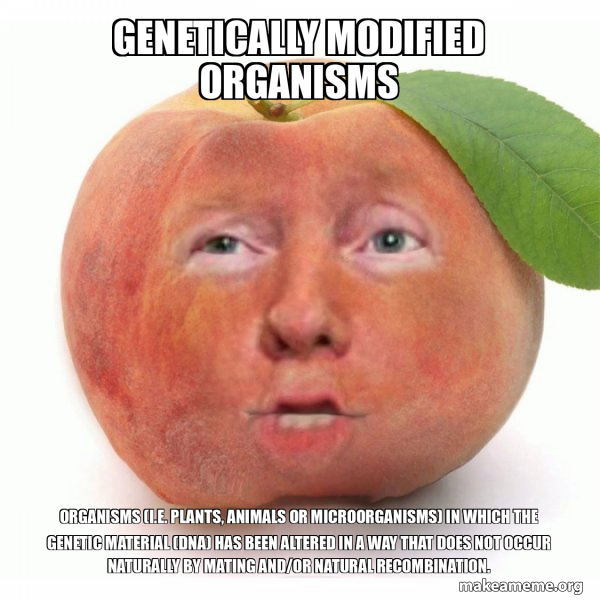Genetically modified organisms organisms (i.e. plants, animals or ...