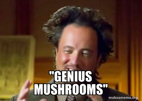 Genius Guy Memes Genius I Feel Personally Attacked By This Meme