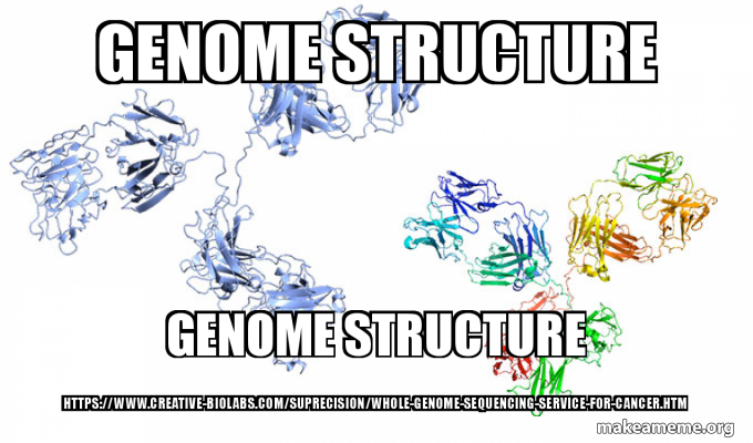 genome structure genome structure https://www.creative-biolabs.com ...