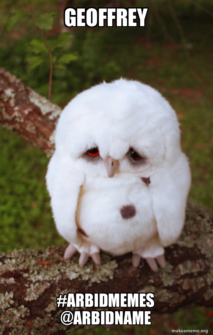 Geoffrey #ARBIDMemes @ARBIDname - Sad Owl Meme Generator