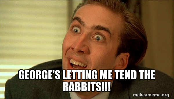 George's letting me tend the rabbits!!! - Sarcastic Nicholas Cage Meme ...