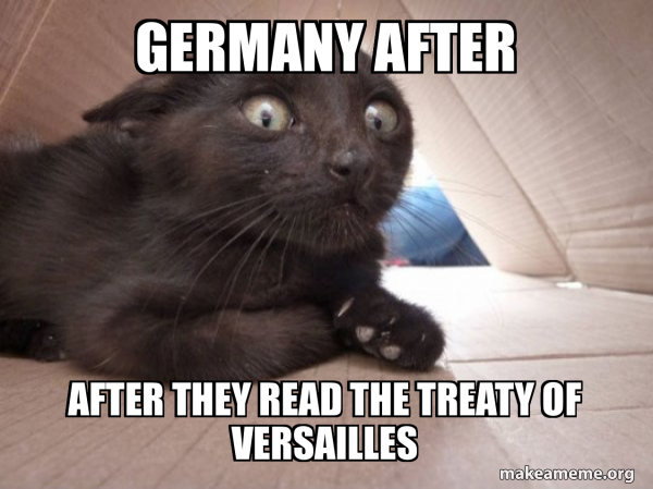 Germany after after they read the Treaty of Versailles - Schitzo Cat ...