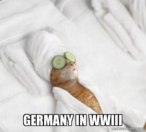 Germany in wwIII - Pampered Cat Meme Meme Generator
