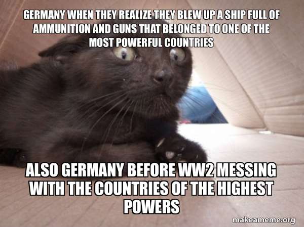 Germany when they realize they blew up a ship full of ammunition and ...
