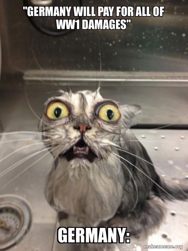 "Germany will pay for ALL of WW1 damages" Germany: - Cat bath Meme ...
