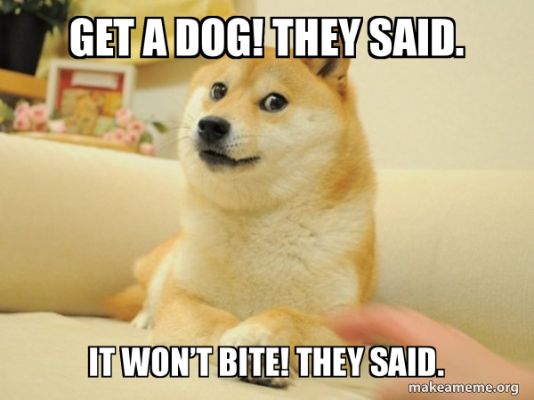 Get a dog! They said. It wonâ€™t bite! They said. - Doge Meme Generator