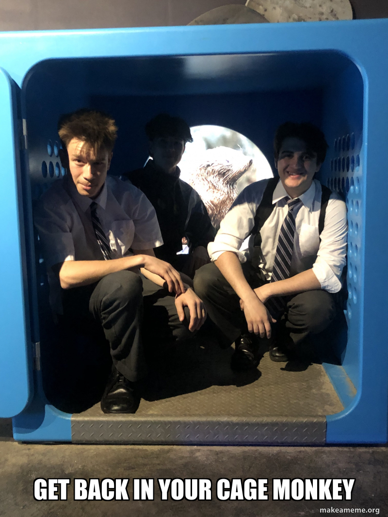 get back in your cage monkey Meme Generator