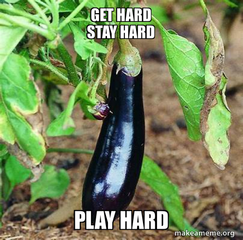 Get hard stay hard Play hard Meme Generator