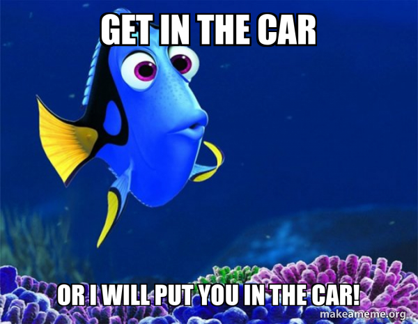 Get in the car Or I will put you in the car! - Dory from Nemo (5 second ...