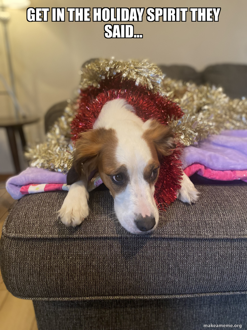 Get in the holiday spirit they said… Meme Generator
