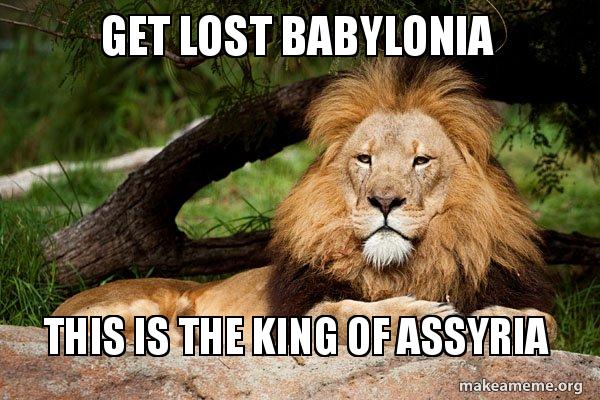 Get lost Babylonia This is the king of Assyria - Contemplative Lion ...