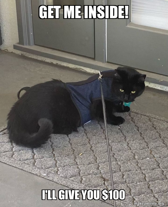 Get me inside! I'll give you $100 Meme Generator