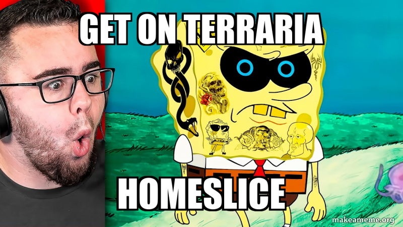 GET ON TERRARIA HOMESLICE Meme Generator