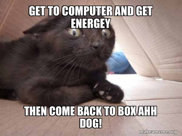 get to computer and get energey then come back to box ahh dog ...