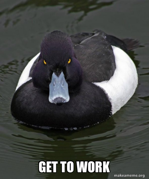 GET TO WORK - Revenge Duck ( Angry Advice Duck ) Meme Generator