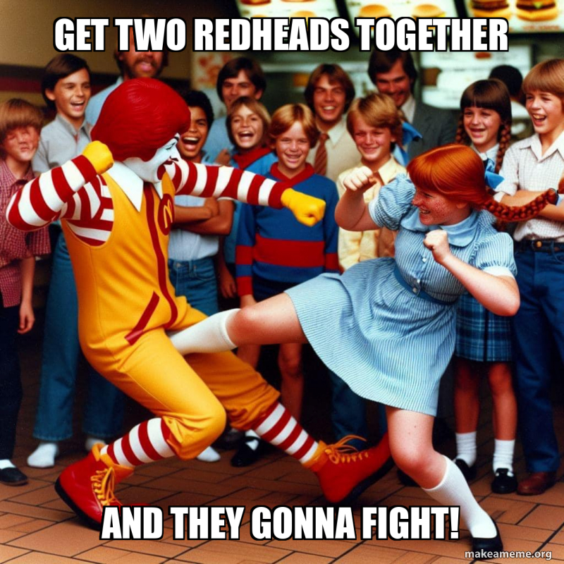 Get Two Redheads Together And They Gonna Fight Meme Generator